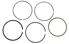 Briggs 843793 - Ring Set : HyperParts.com